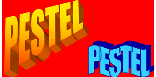 PESTEL analysis - definition of PESTEL analysis - www.howandwhat.net